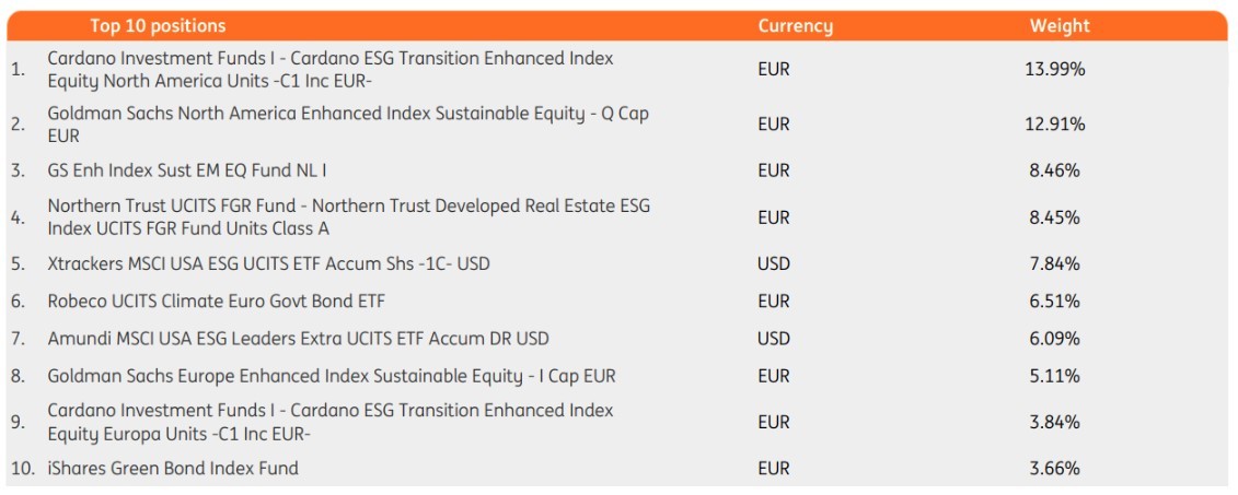 ING Aria ING Global Index Portfolio - Active